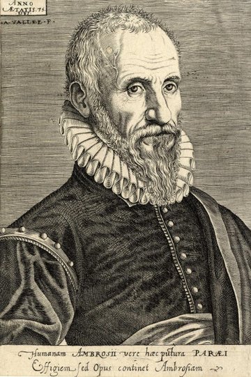 Portrait d’Ambroise Paré - Les collections — Musée Lorrain - Ville de Nancy